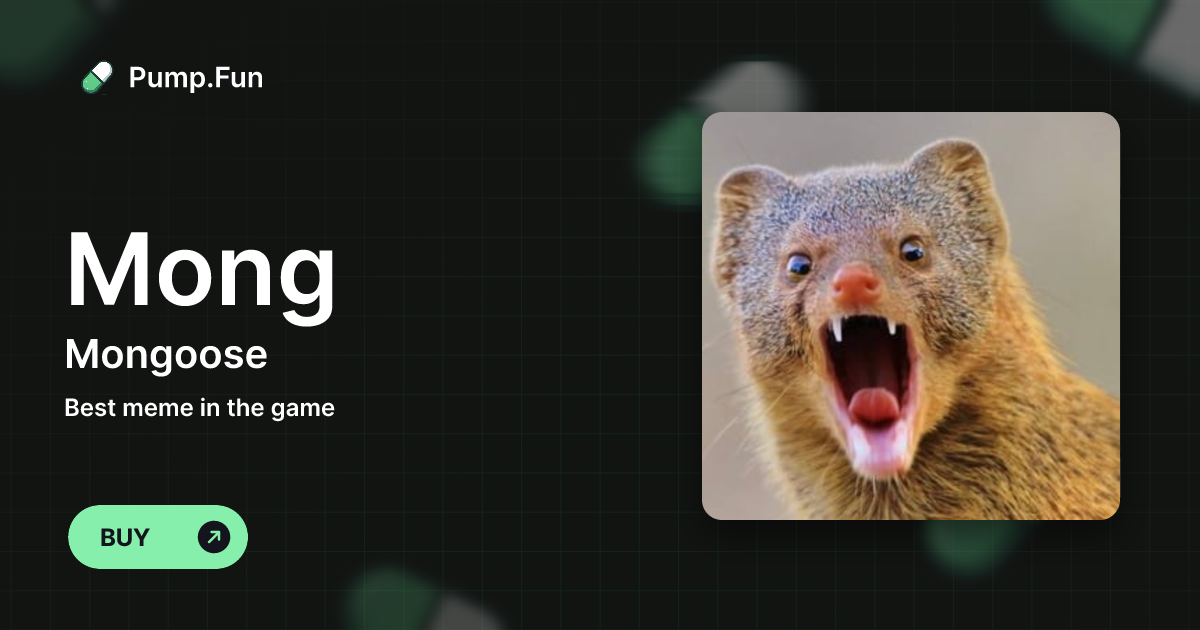 Mongoose (Mong) - Pump