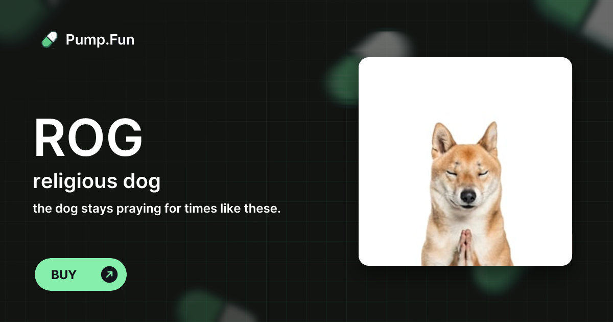 religious dog (ROG) - Pump