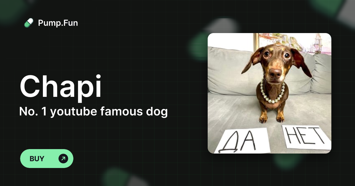 No. 1 youtube famous dog (Chapi) - Pump