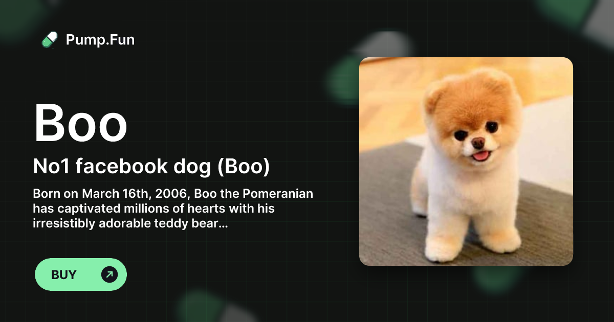 No1 facebook dog (Boo) (Boo) - Pump