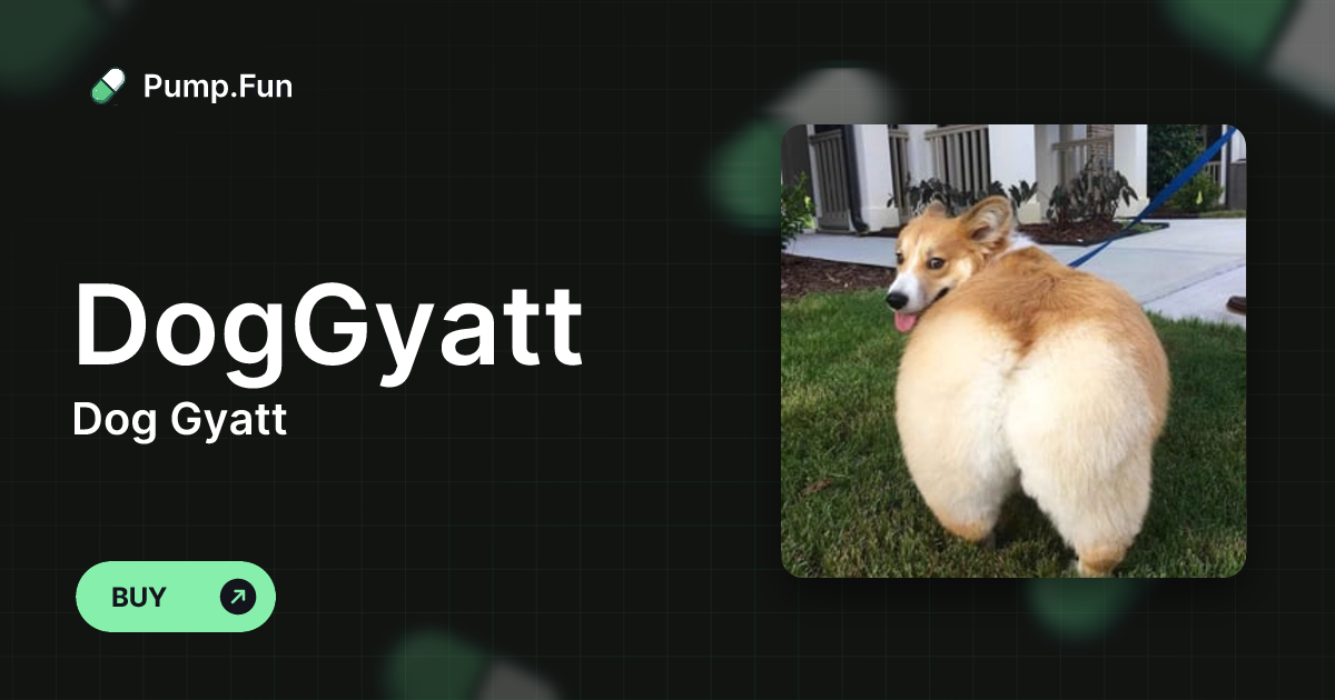 Dog Gyatt (DogGyatt) - Pump