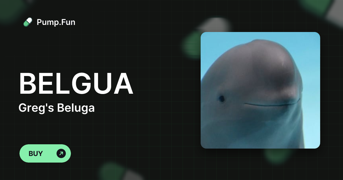 Greg's Beluga (BELGUA) - Pump