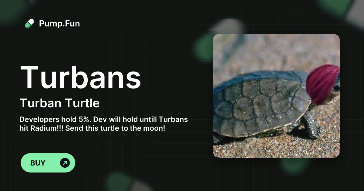 Turban Turtle (Turbans) - Pump