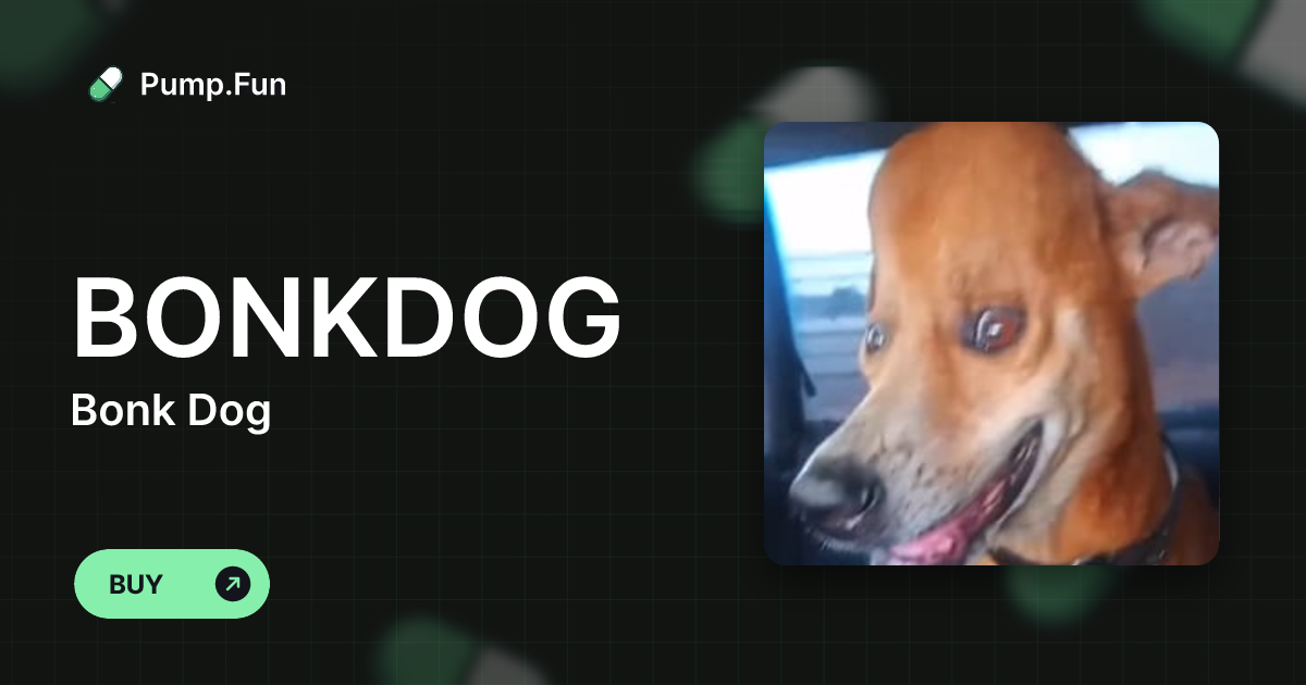 Bonk Dog (BONKDOG) - Pump