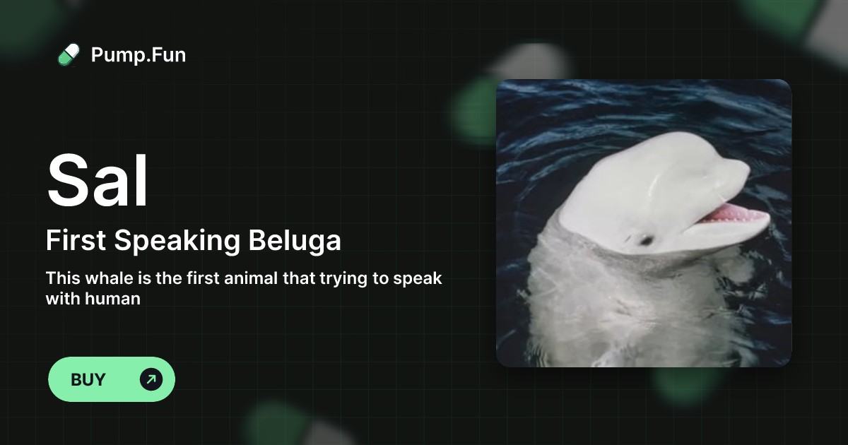 First Speaking Beluga (Sal) - Pump