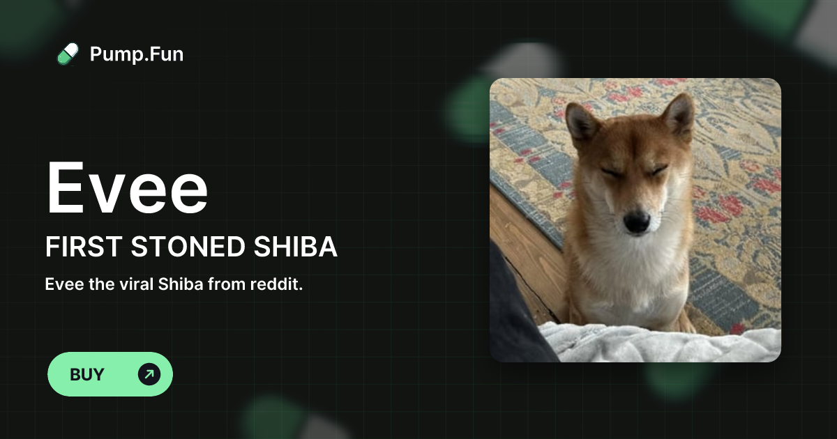 FIRST STONED SHIBA (Evee) - Pump