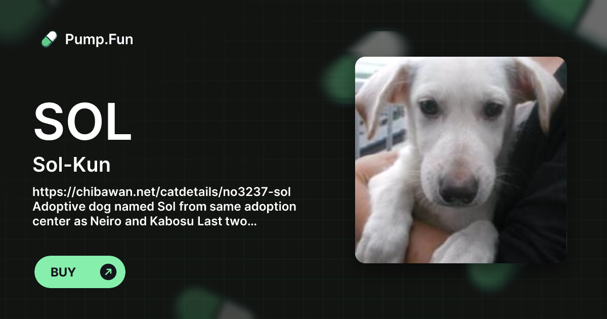 Sol-Kun (SOL) - Pump