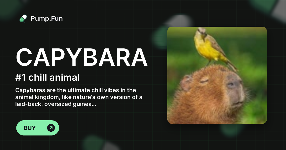 #1 chill animal (CAPYBARA) - Pump