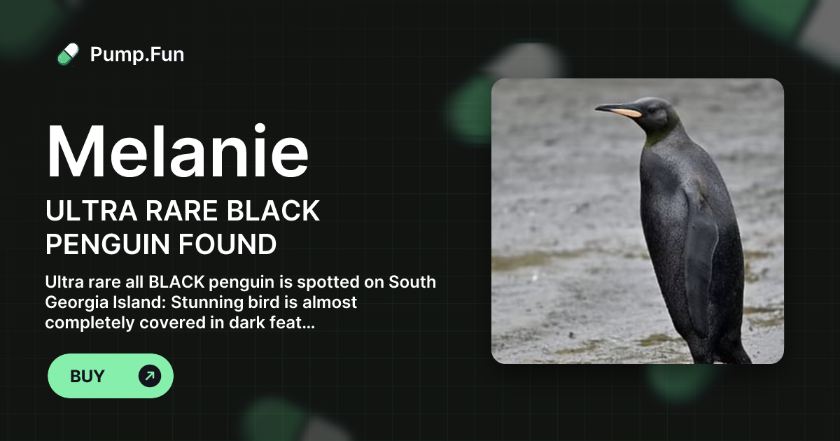ULTRA RARE BLACK PENGUIN FOUND (Melanie) - Pump