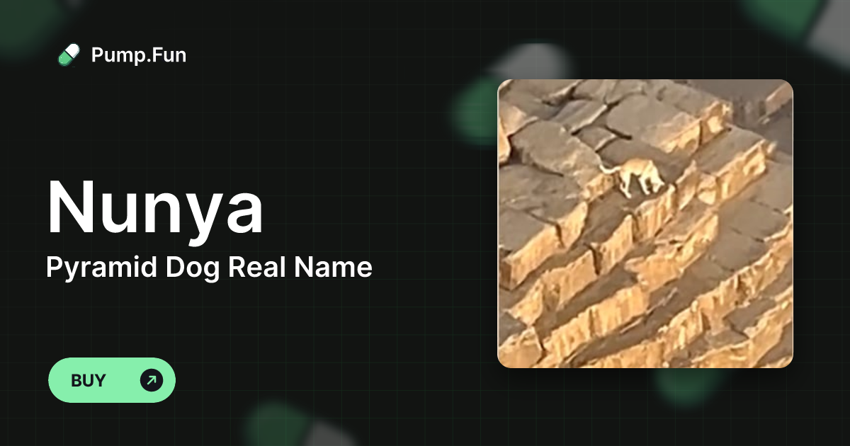Pyramid Dog Real Name (Nunya) - Pump