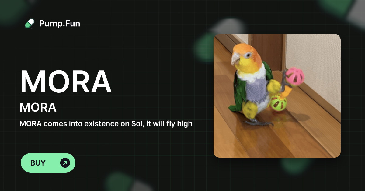 MORA (MORA) - Pump