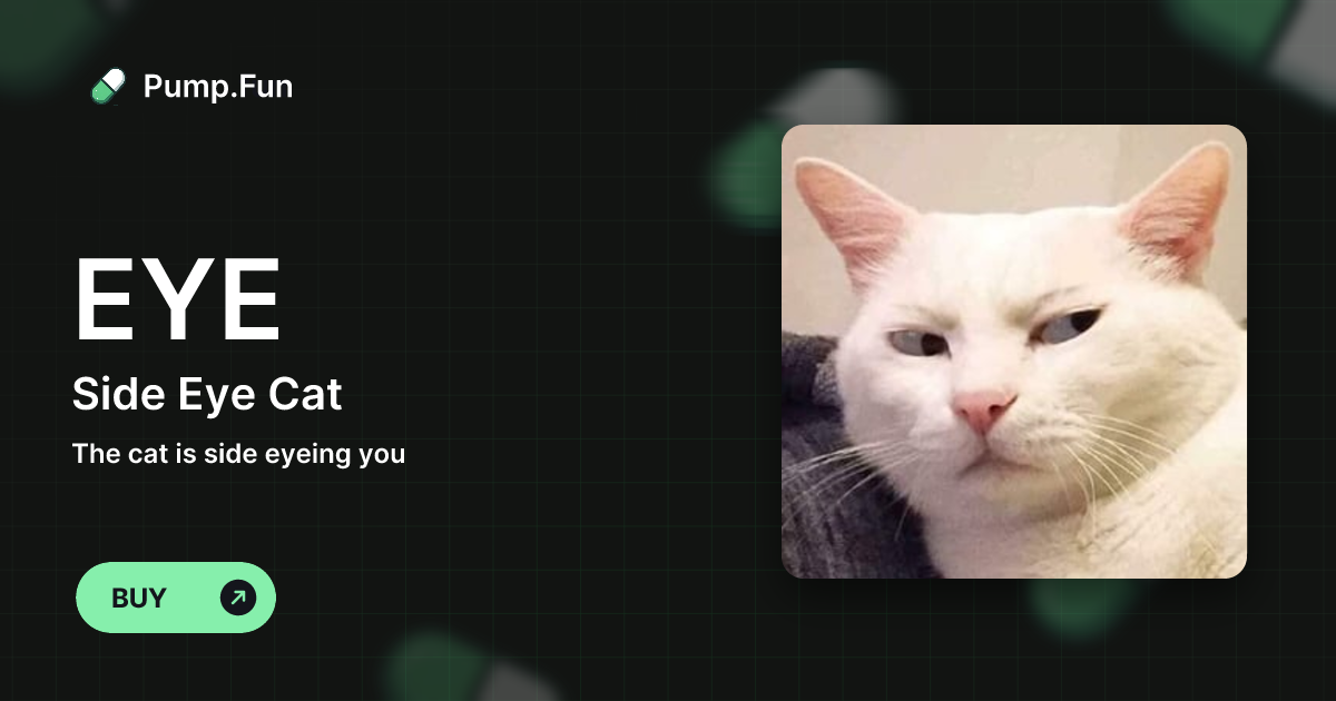 Side Eye Cat (EYE) - Pump