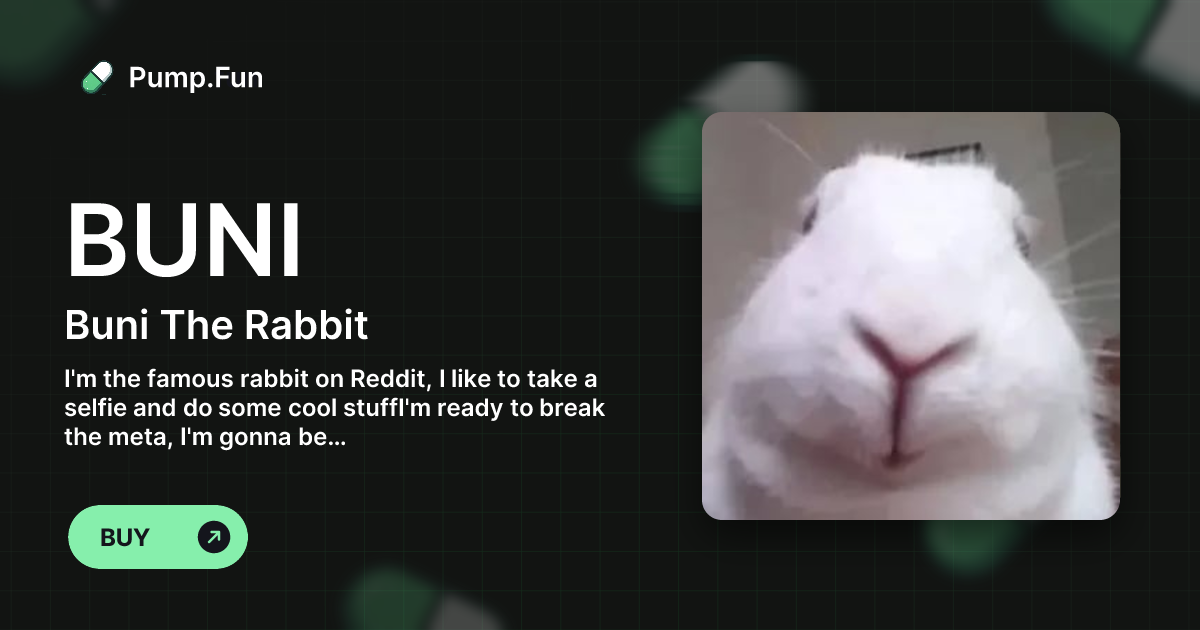 Buni The Rabbit (BUNI) - Pump