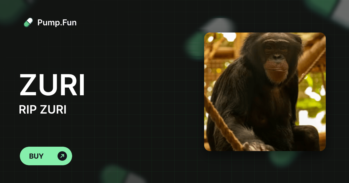 RIP ZURI (ZURI) - Pump