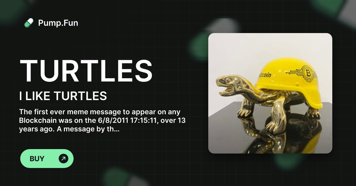 I LIKE TURTLES (TURTLES) - Pump