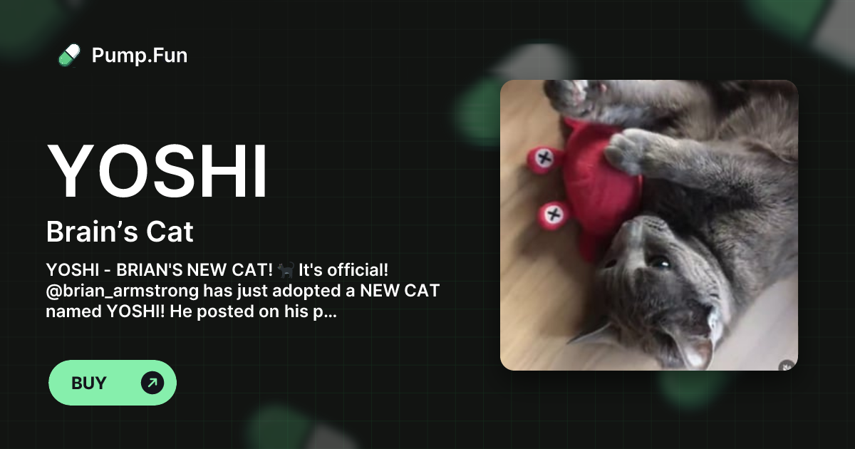 Brain’s Cat (YOSHI) - Pump