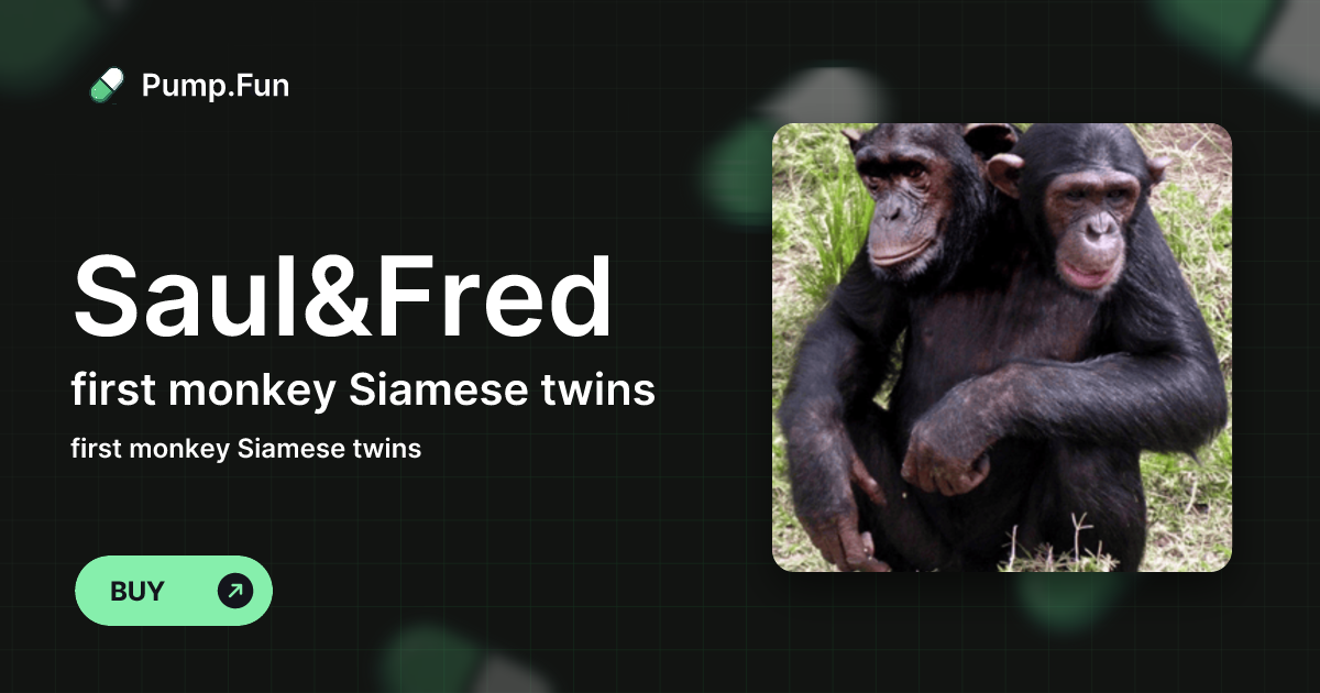 first monkey Siamese twins (Saul&Fred) - Pump