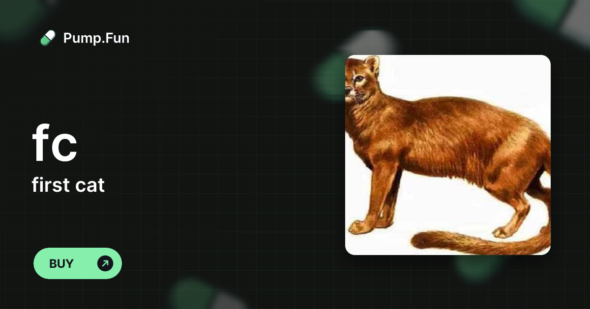 first cat (fc) - Pump