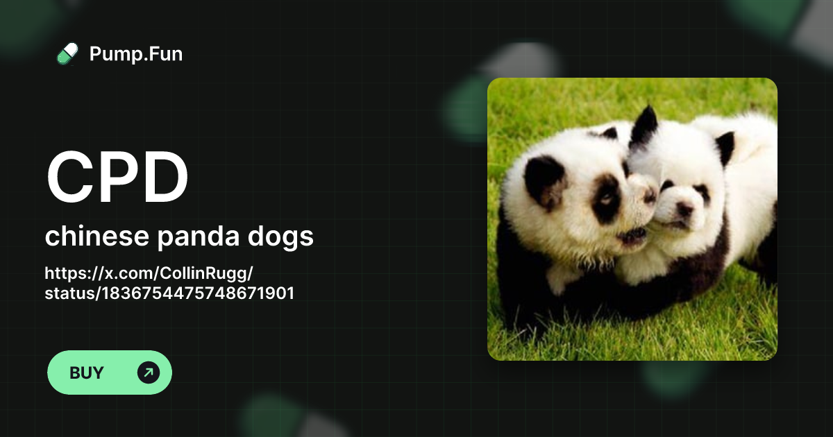 chinese panda dogs (CPD) - Pump