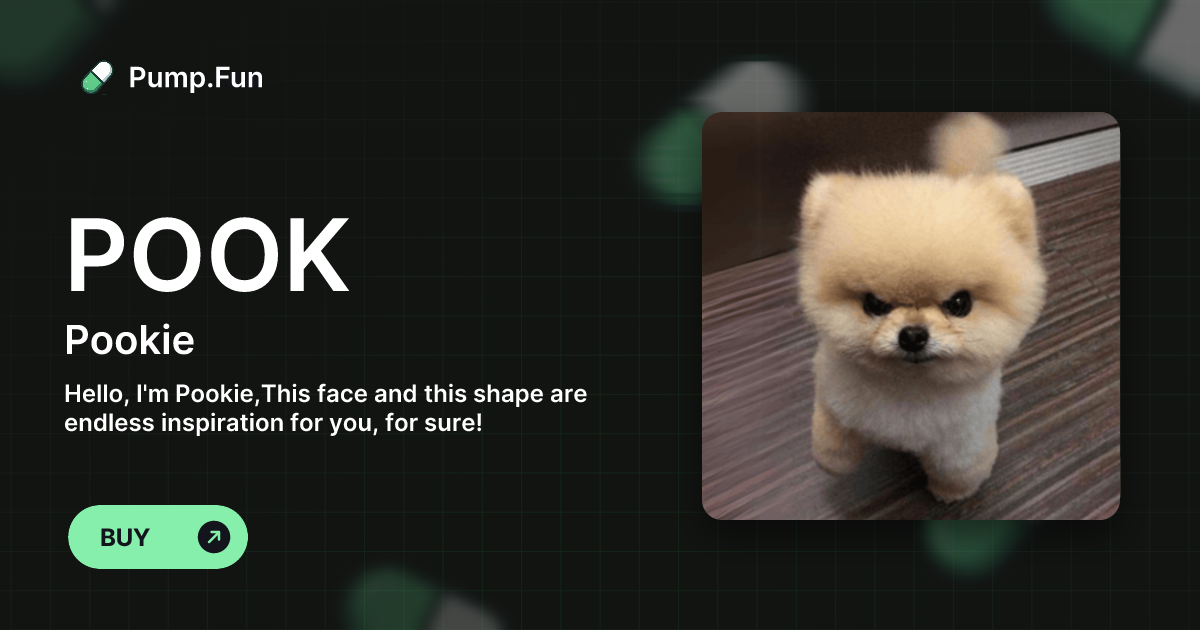 Pookie (POOK) - Pump