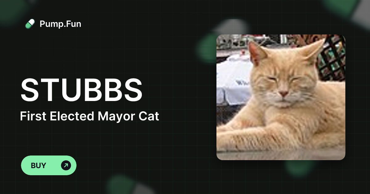 First Elected Mayor Cat (STUBBS) - Pump