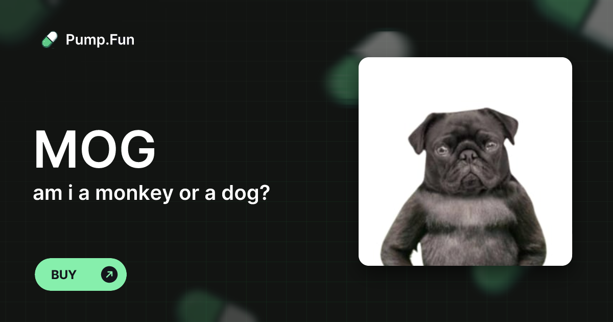 am i a monkey or a dog? (MOG) - Pump