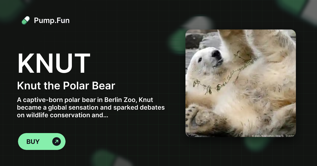 Knut the Polar Bear (KNUT) - Pump