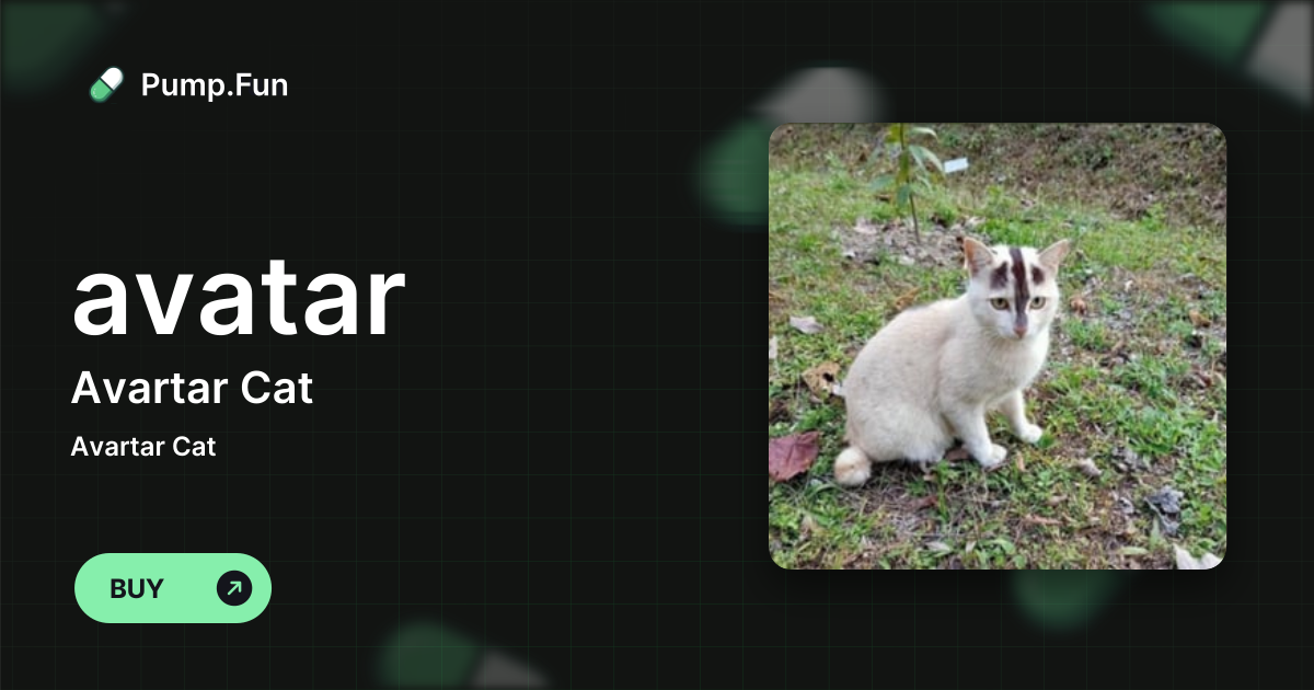 Avartar Cat (avatar) - Pump