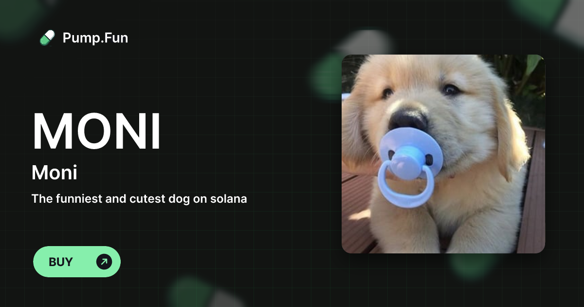 Moni (MONI) - Pump