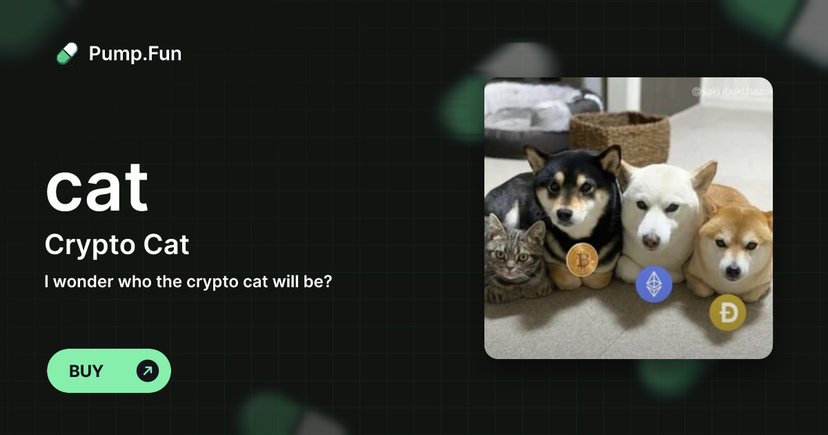 Crypto Cat (cat) - Pump