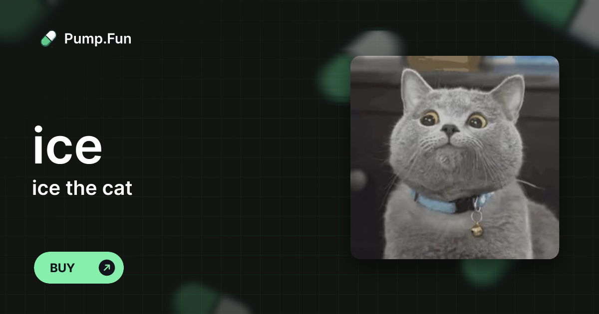 ice the cat (ice) - Pump