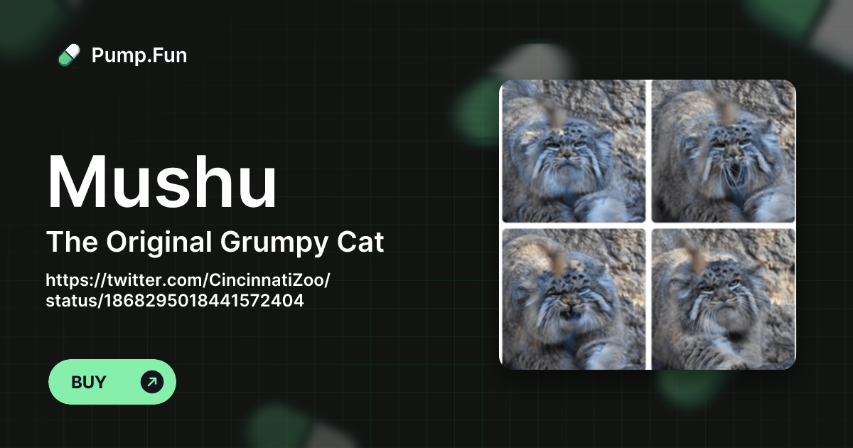 The Original Grumpy Cat (Mushu) - Pump
