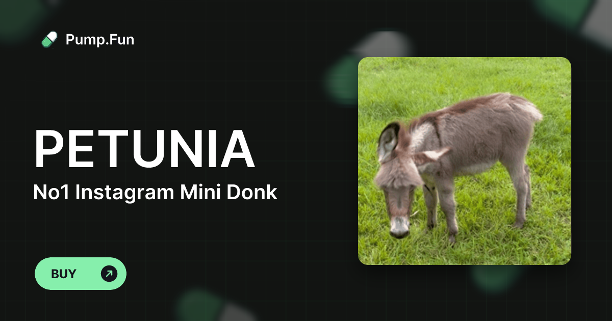 No1 Instagram Mini Donk (PETUNIA) - Pump