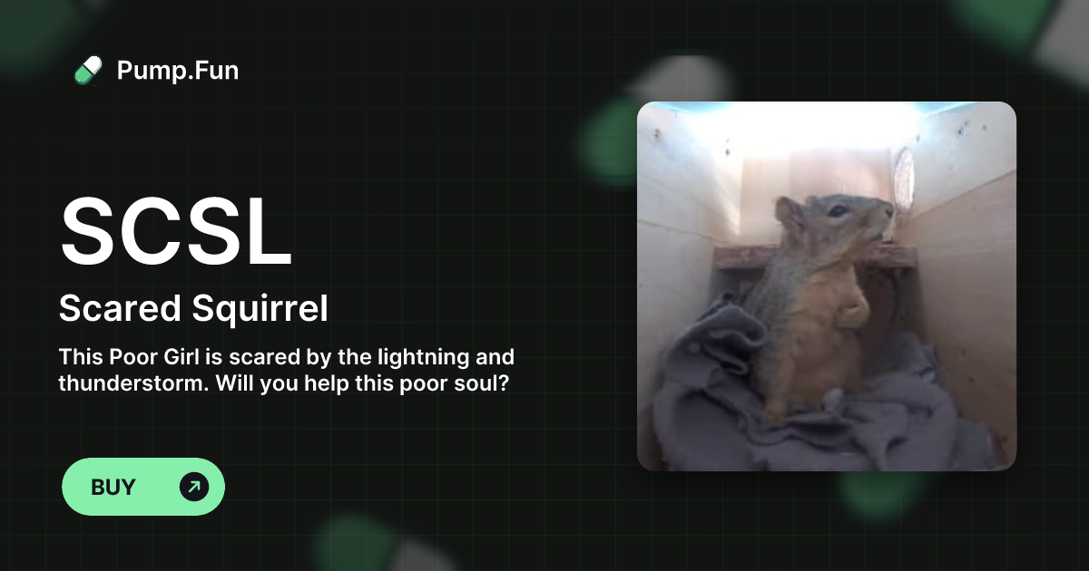 Scared Squirrel (SCSL) - Pump