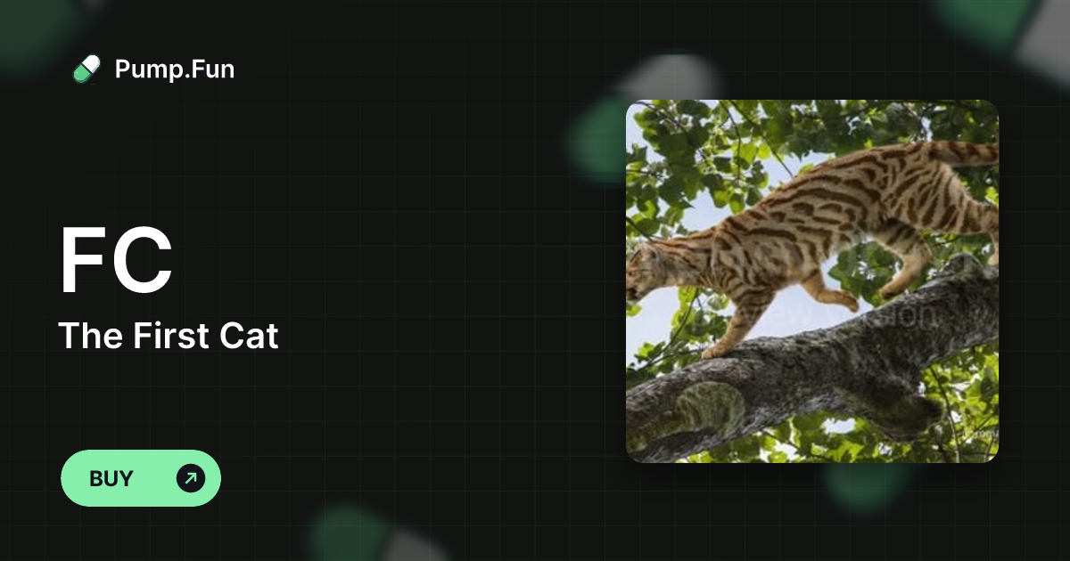 The First Cat (FC) - Pump