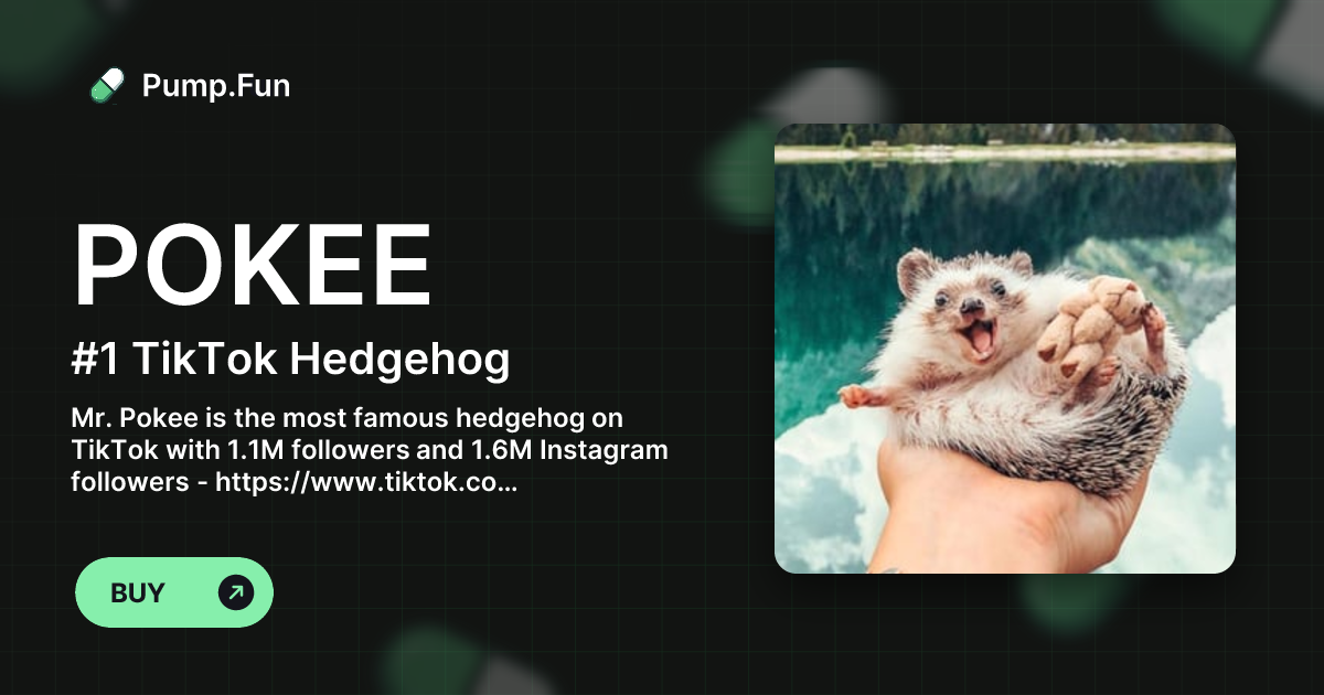#1 TikTok Hedgehog (POKEE) - Pump