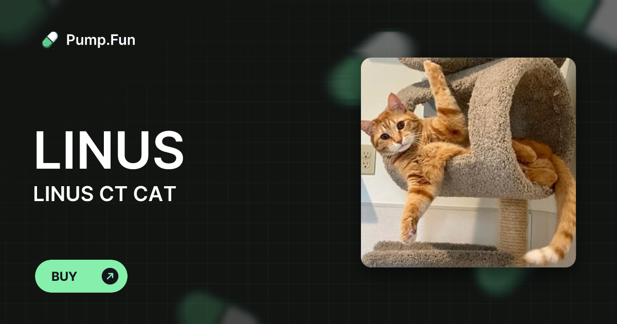 LINUS CT CAT (LINUS) - Pump