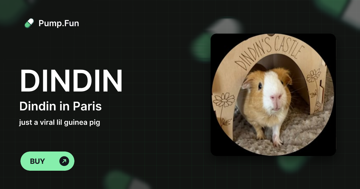 Dindin in Paris (DINDIN) - Pump