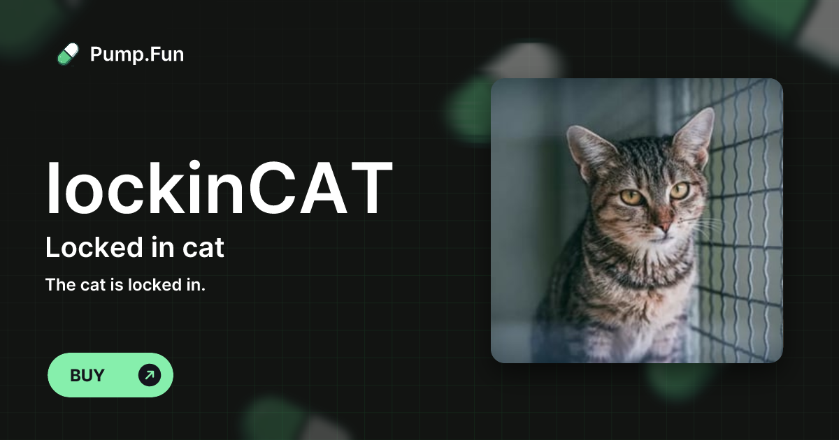 Locked in cat (lockinCAT) - Pump