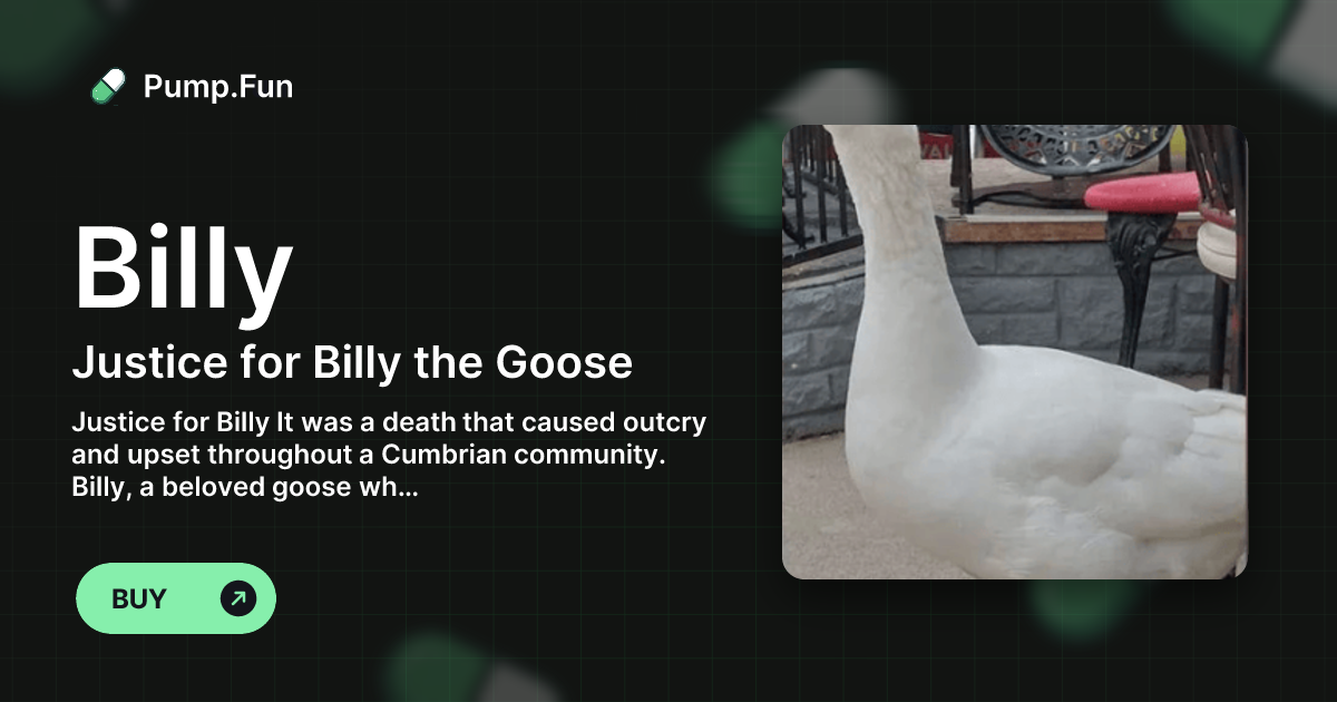 Justice for Billy the Goose (Billy) - Pump