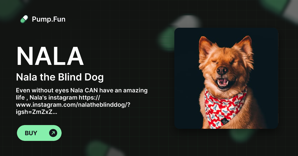 Nala the Blind Dog (NALA) - Pump