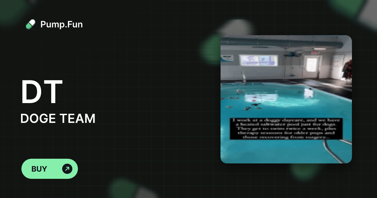 DOGE TEAM (DT) - Pump