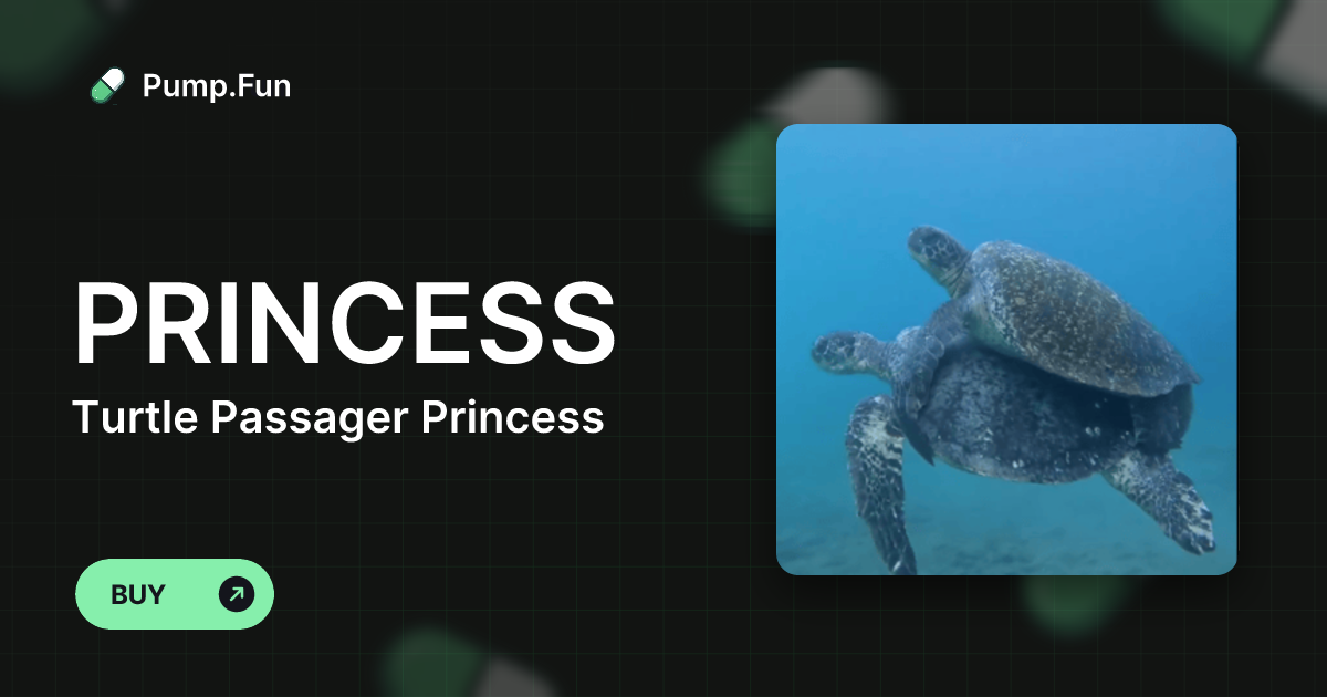 Turtle Passager Princess (PRINCESS) - Pump