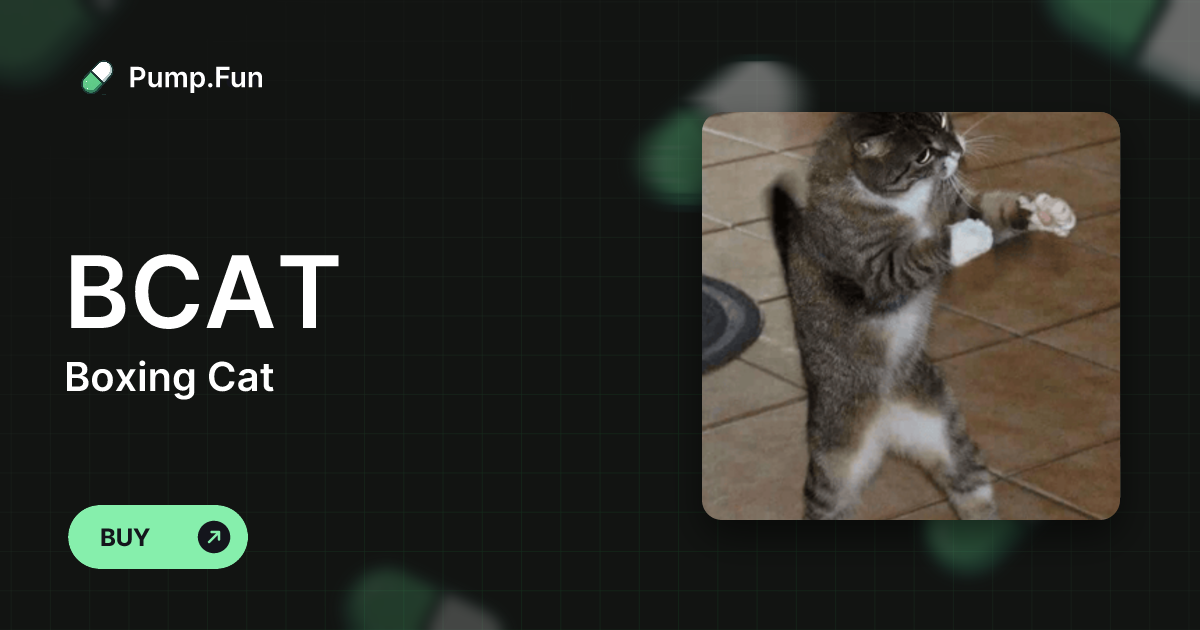 Boxing Cat (BCAT) - Pump