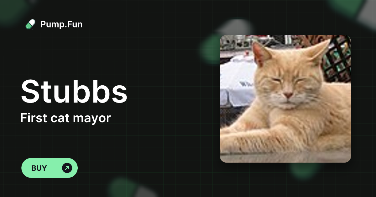 First cat mayor (Stubbs) - Pump