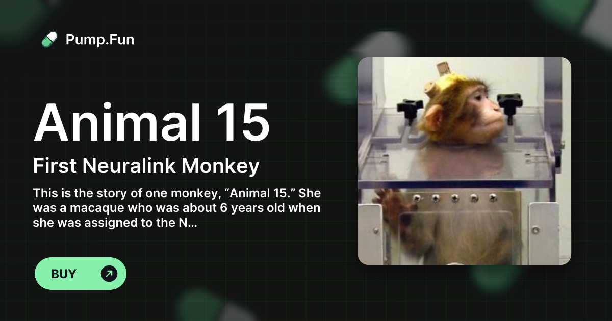 First Neuralink Monkey (Animal 15) - Pump
