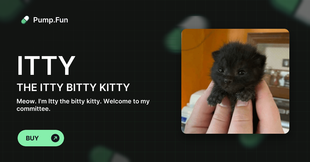 THE ITTY BITTY KITTY (ITTY) - Pump