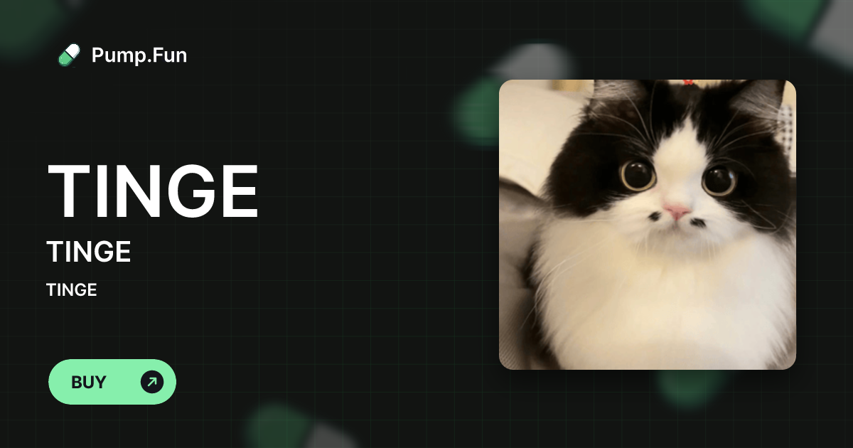 TINGE (TINGE) - Pump