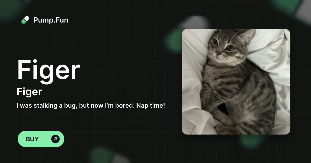 Figer (Figer) - Pump