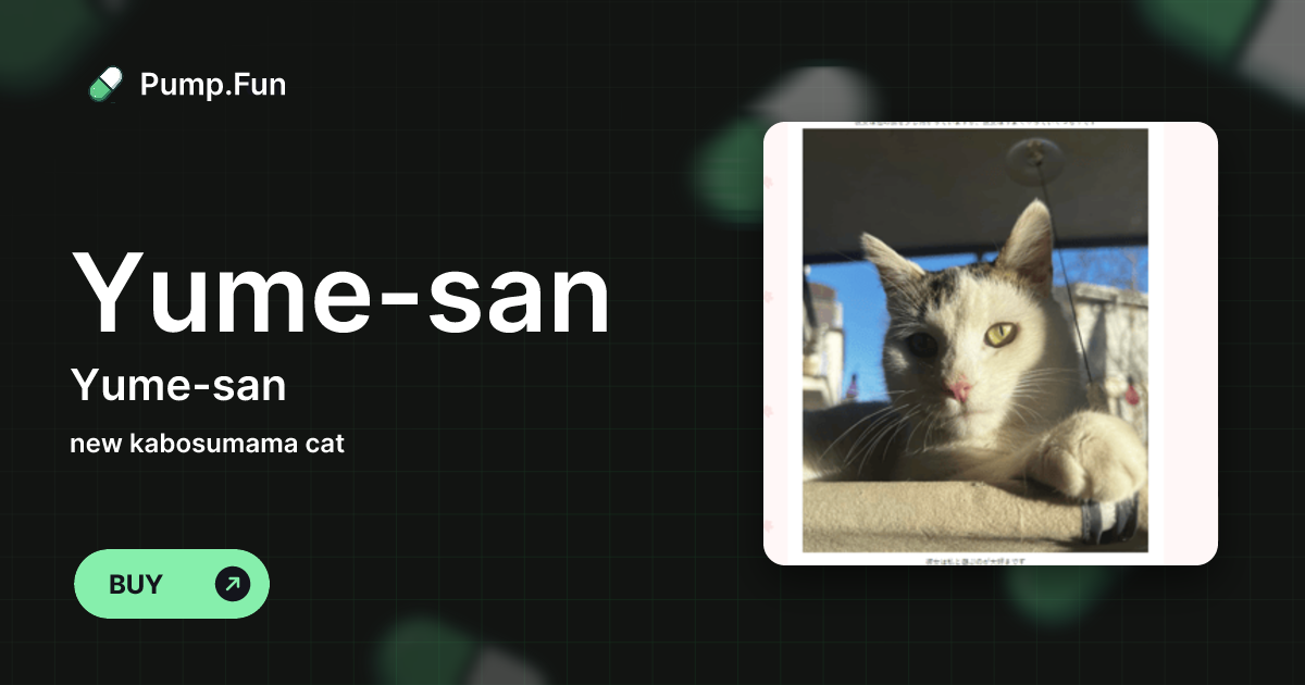 Yume-san (Yume-san) - Pump